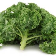 Chou frisé Kale Sibérien "Wild Garden Kale Mix" | mer, 19/10/2016 - 02:00